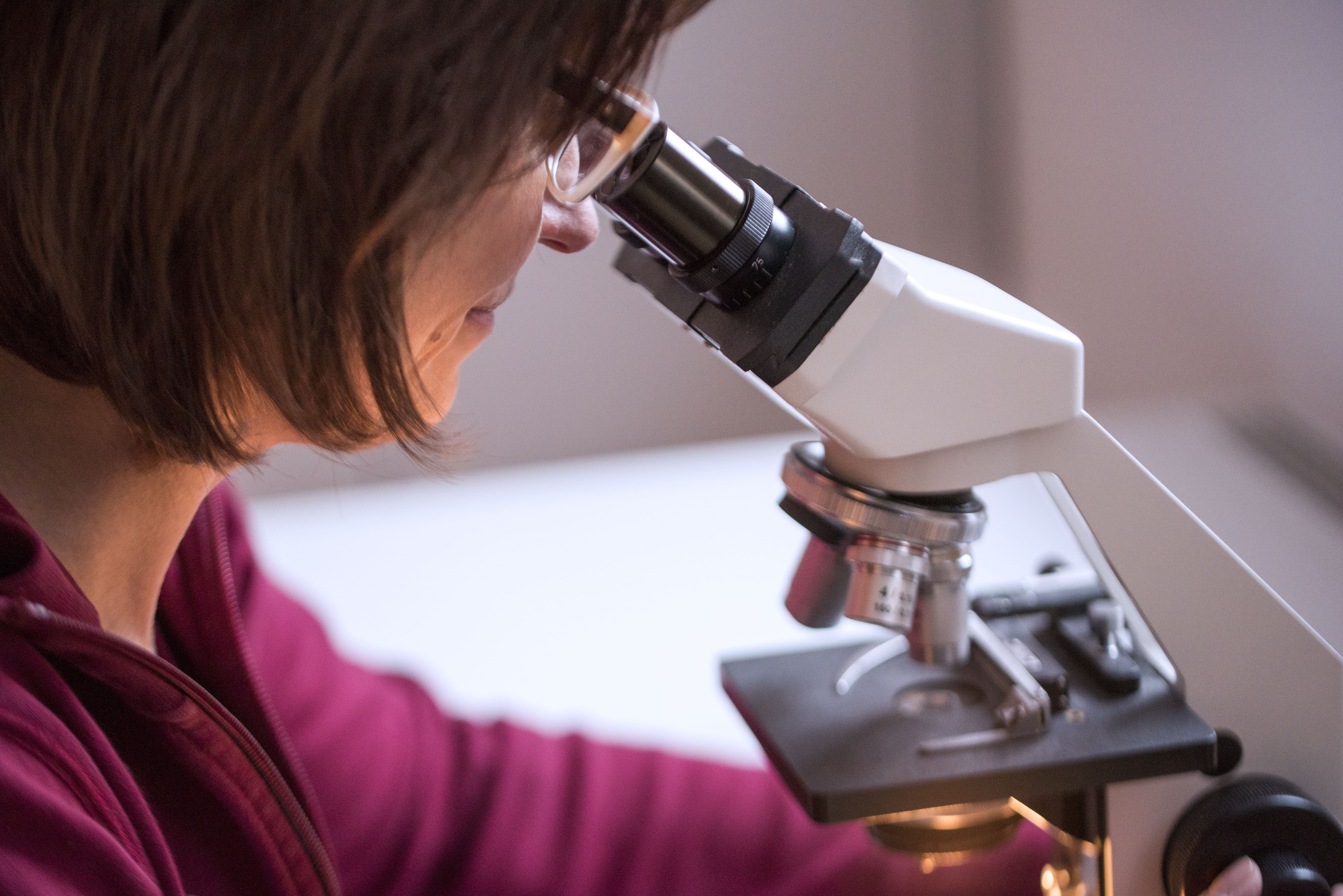 Labor : Praxis Dr. Mock